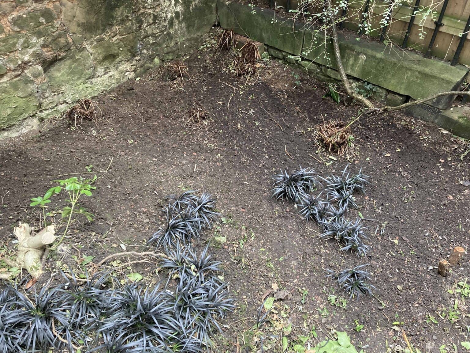 Simple Tips For A Mini Spring Yard Clean Up - Documenting Simple Living