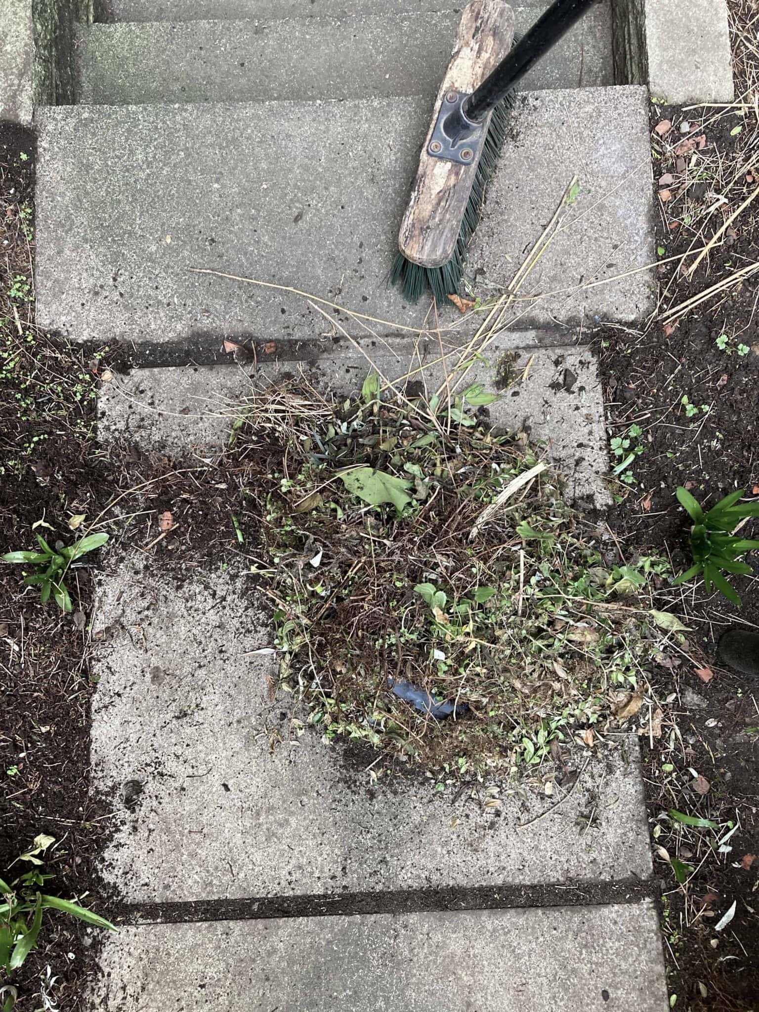 Simple Tips For A Mini Spring Yard Clean Up - Documenting Simple Living