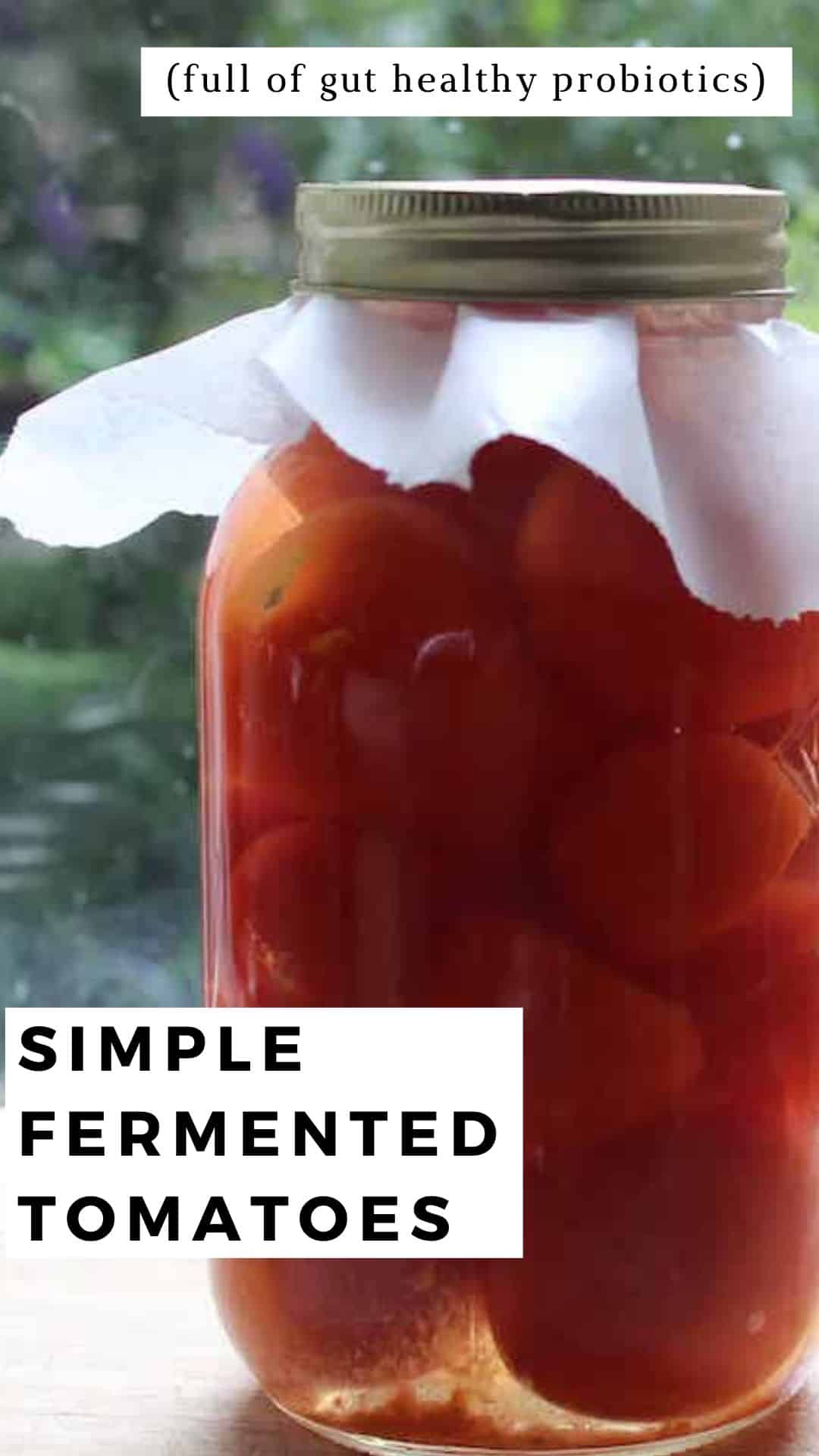Fermented Tomatoes (How To Ferment Cherry Tomatoes) - Documenting Simple Living