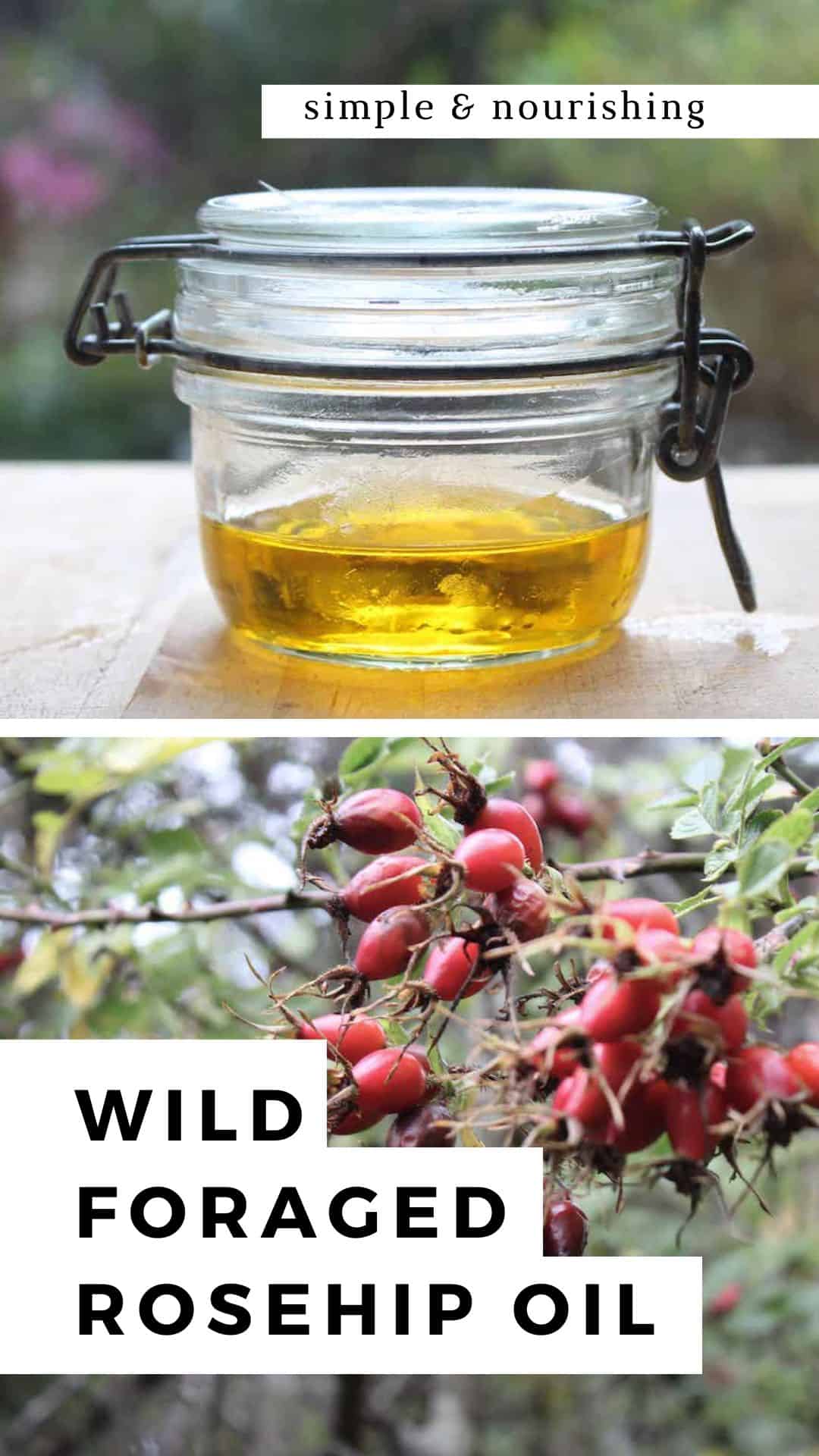 How To Make Cold Infused Rosehip Oil - Documenting Simple Living