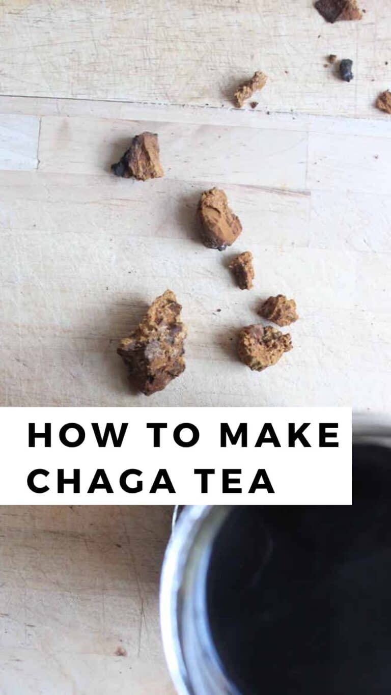 How To Make Chaga Tea - Documenting Simple Living