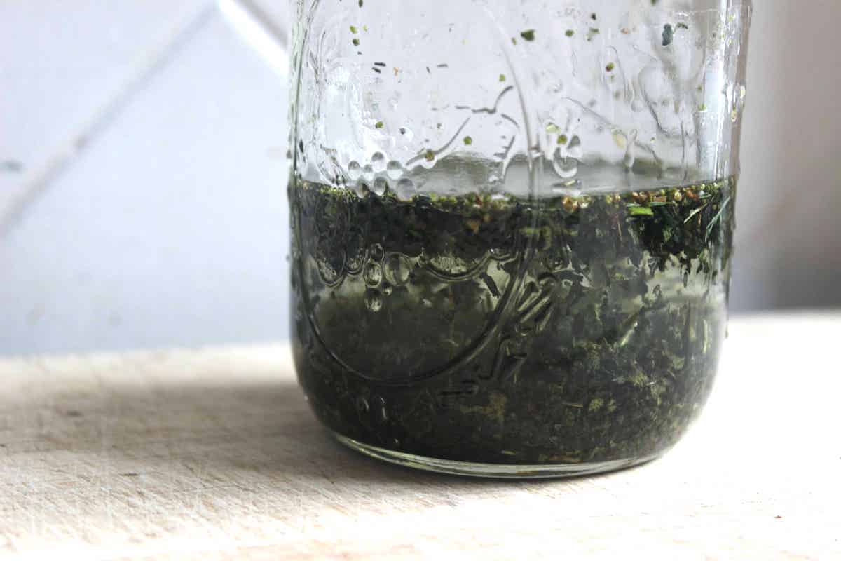 Simple Nettle Tincture Recipe - Documenting Simple Living