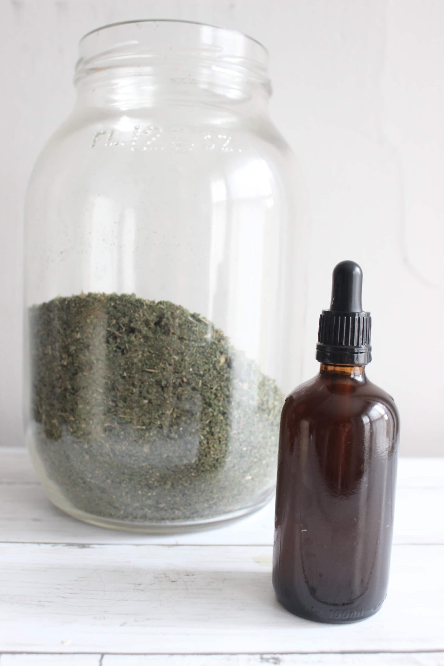 How To Make Purple Dead Nettle Tincture - Documenting Simple Living
