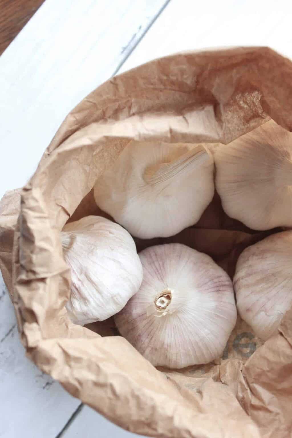 How To Make Garlic Tincture (Homemade Herbal Medicine) - Documenting ...