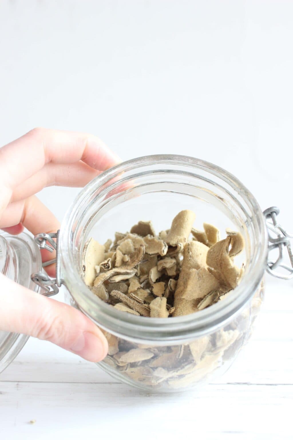 How To Make Mullein Tincture (Easy Medicinal Recipe) - Documenting ...