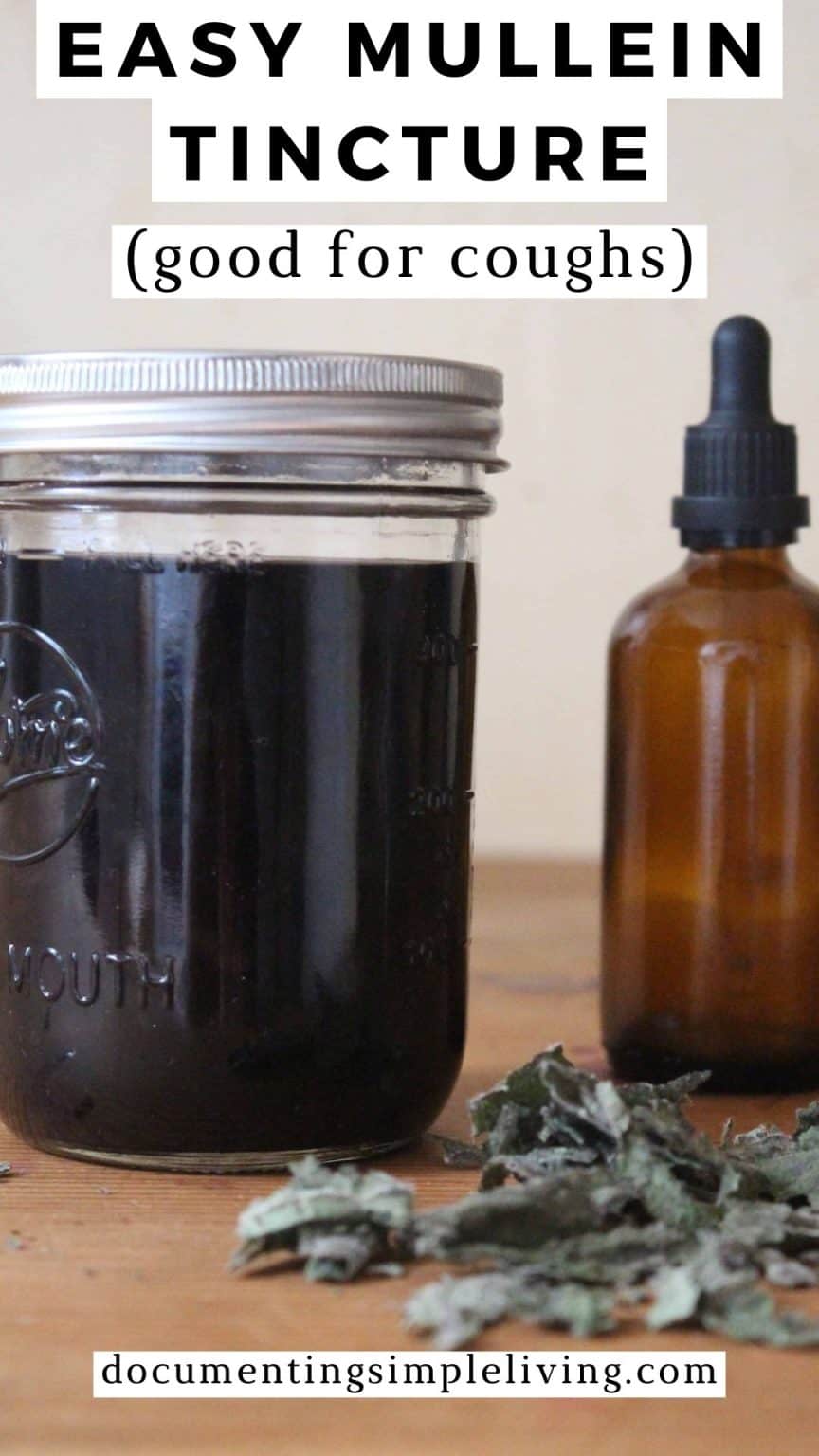 The Easiest Mullein Tincture Recipe - Documenting Simple Living