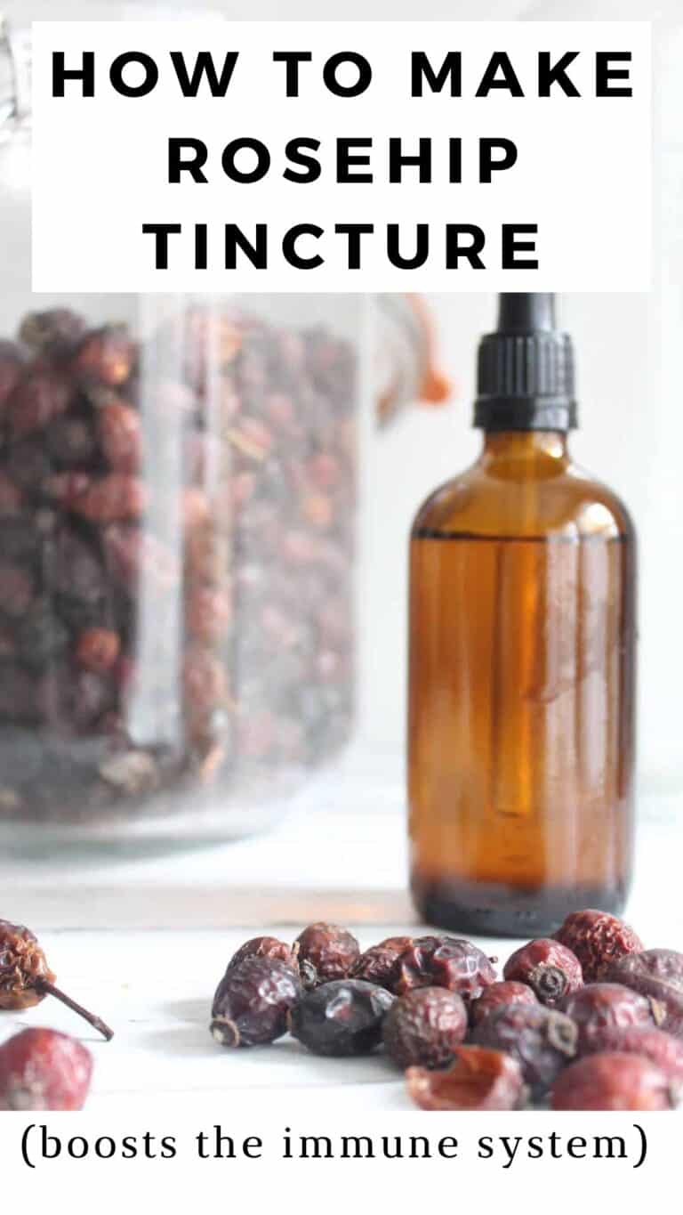 How To Make Rosehip Tincture (Using Rosa Canina) - Documenting Simple ...