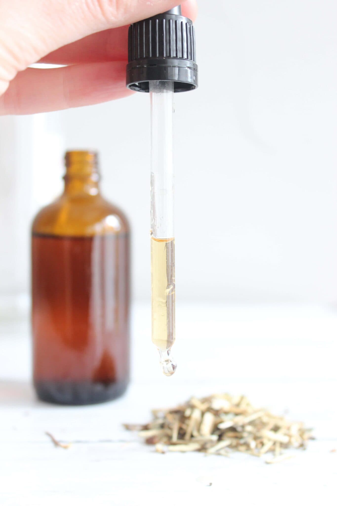 How To Make DIY Wild Lettuce Tincture (For Pain and Sleep ...