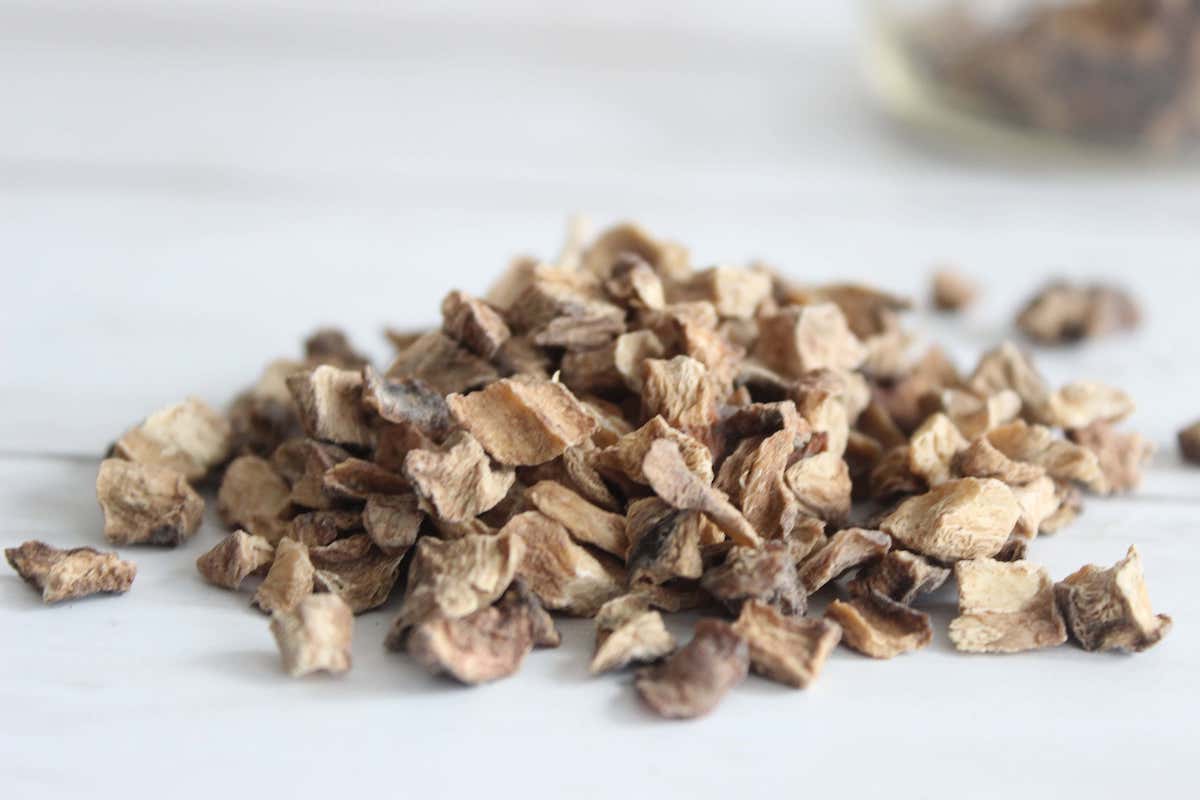Simple Chicory Root Tincture Recipe - Documenting Simple Living