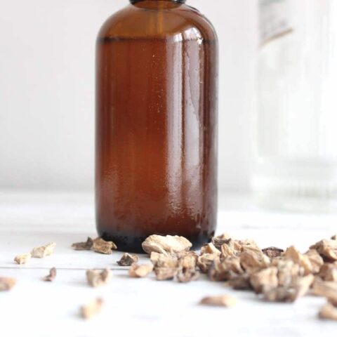 Simple Chicory Root Tincture Recipe - Documenting Simple Living