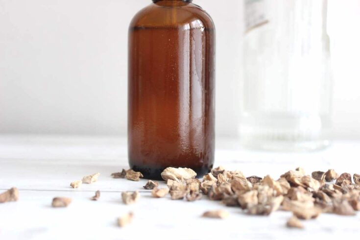Simple Chicory Root Tincture Recipe - Documenting Simple Living