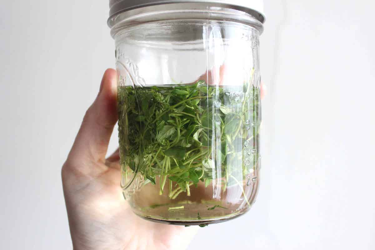 How To Make Thyme Tincture (Anti-Microbial Herbal Recipe) - Documenting ...