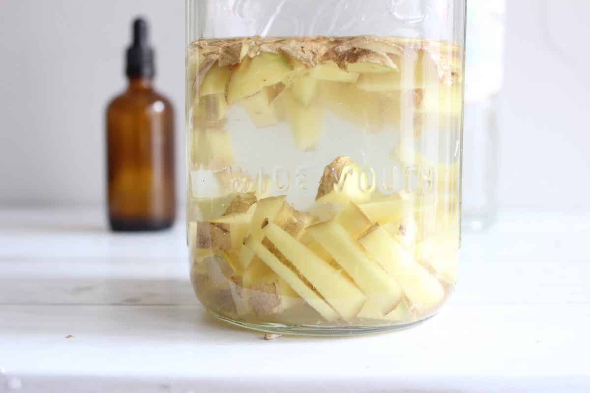 How To Make Ginger Tincture (DIY Herbal Recipe) - Documenting Simple Living