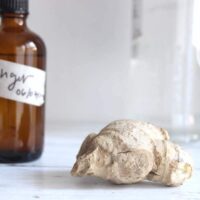How To Make Ginger Tincture (DIY Herbal Recipe) - Documenting Simple Living