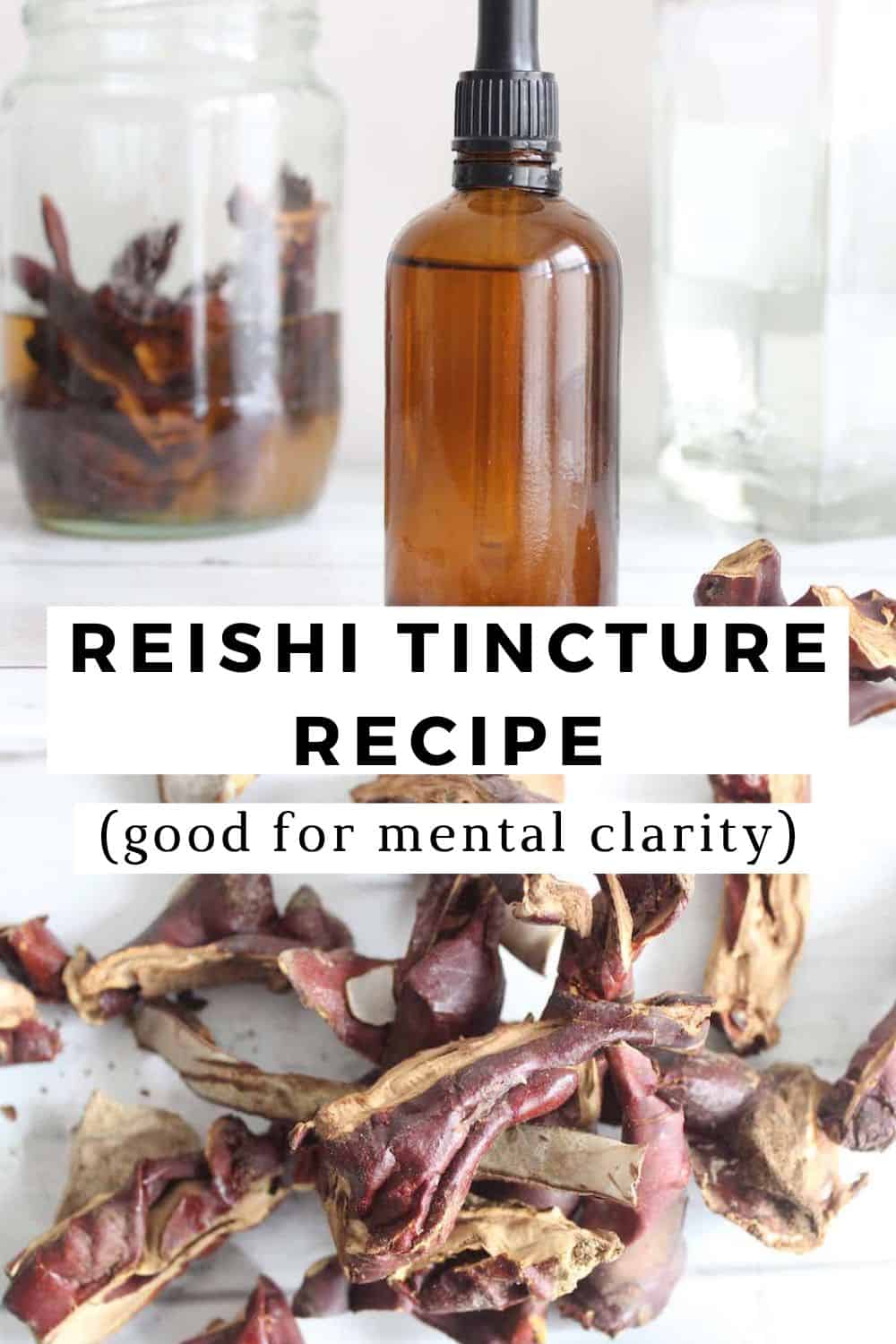 Easy Dual-Extraction Reishi Mushroom Tincture Recipe - Documenting Simple Living