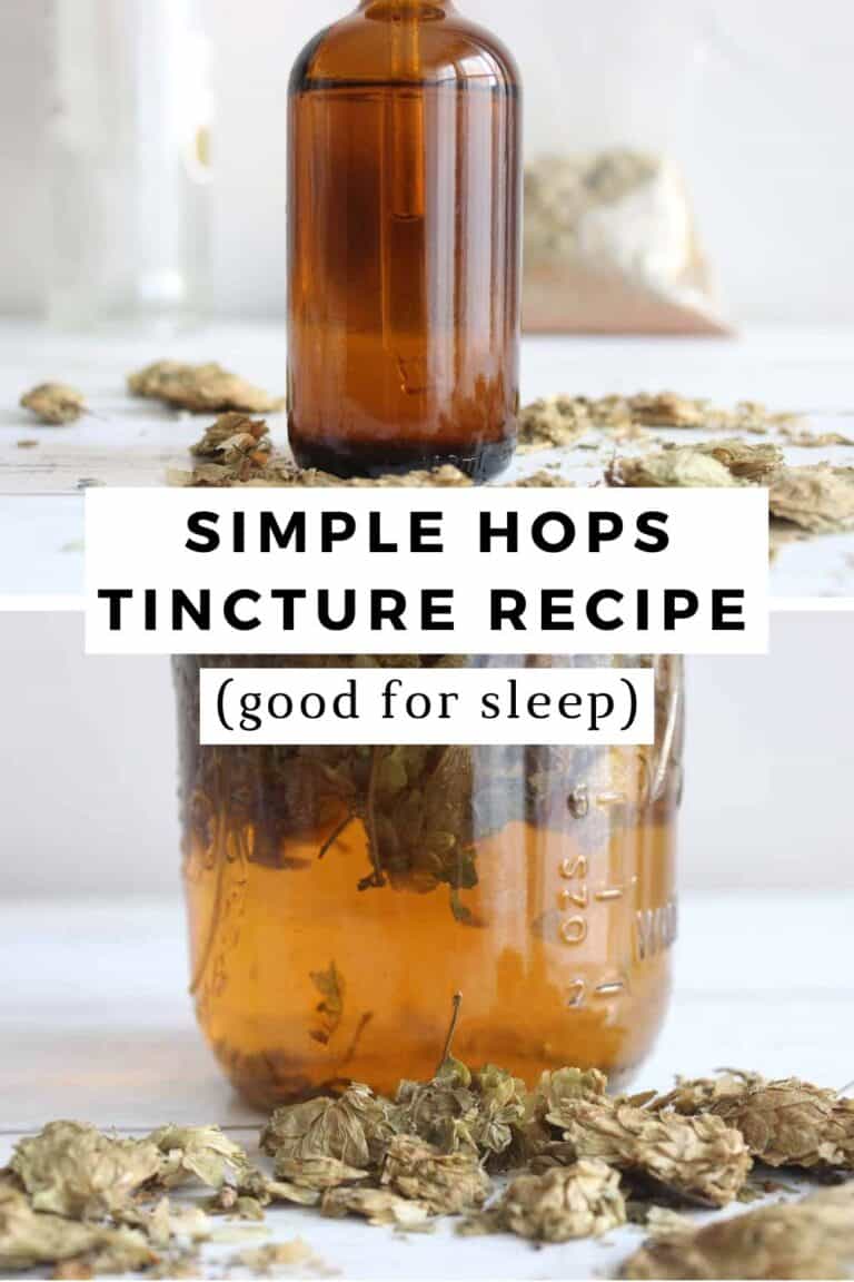 How To Make Hops Tincture (Homemade Extract Recipe) - Documenting ...