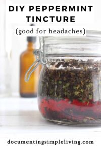 How To Make Homemade Peppermint Tincture (Mint Extract) - Documenting ...