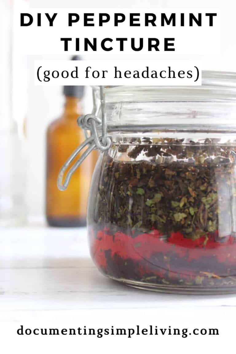 How To Make Homemade Peppermint Tincture (Mint Extract) - Documenting ...