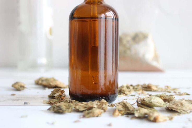 How To Make Hops Tincture (Homemade Extract Recipe) - Documenting ...