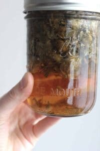 How To Make Hops Tincture (Homemade Extract Recipe) - Documenting ...