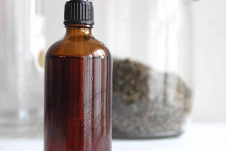 How To Make Homemade Peppermint Tincture (Mint Extract) - Documenting ...