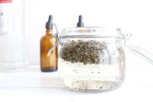 How To Make Homemade Peppermint Tincture (Mint Extract) - Documenting ...
