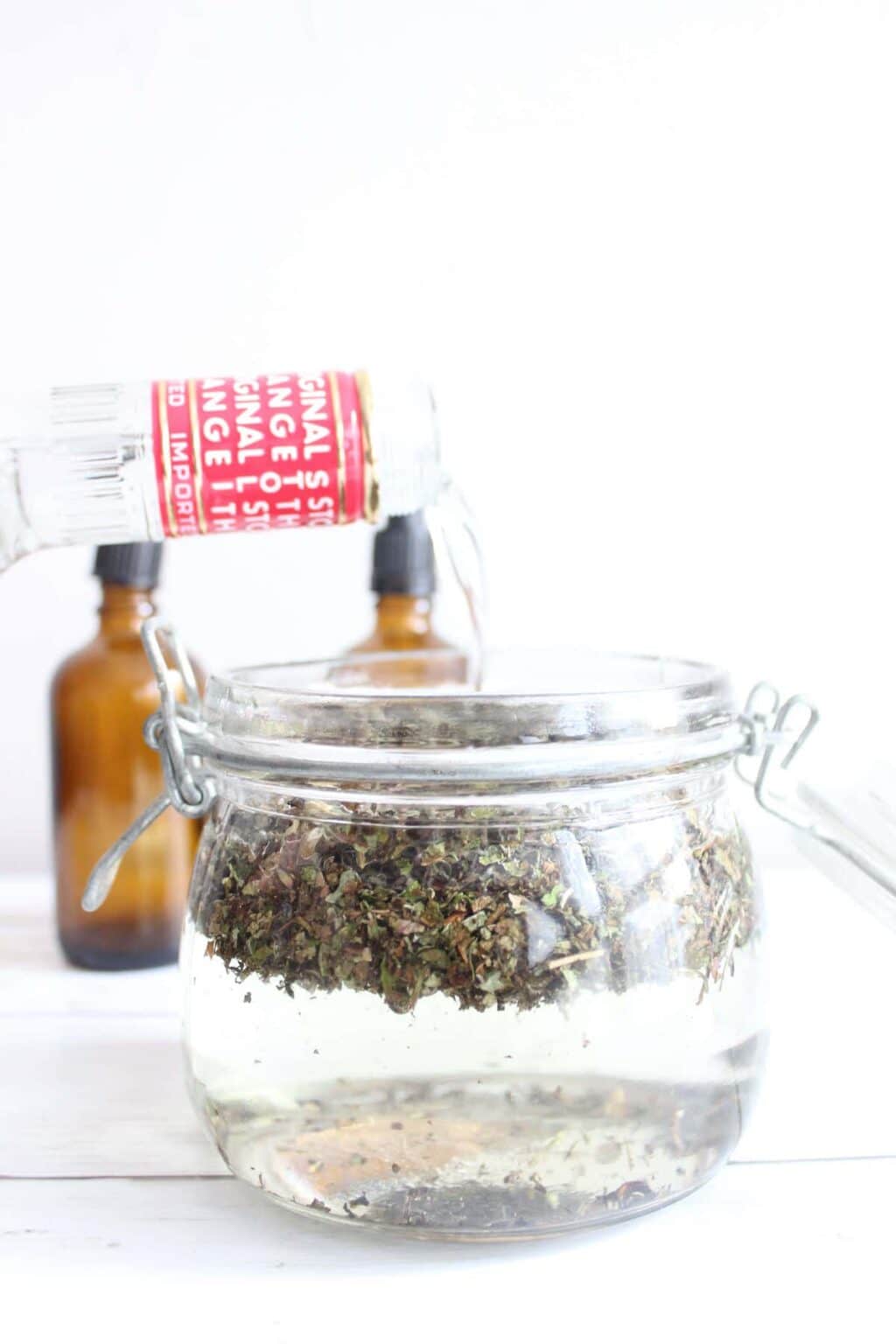 How To Make Homemade Peppermint Tincture (Mint Extract) - Documenting ...