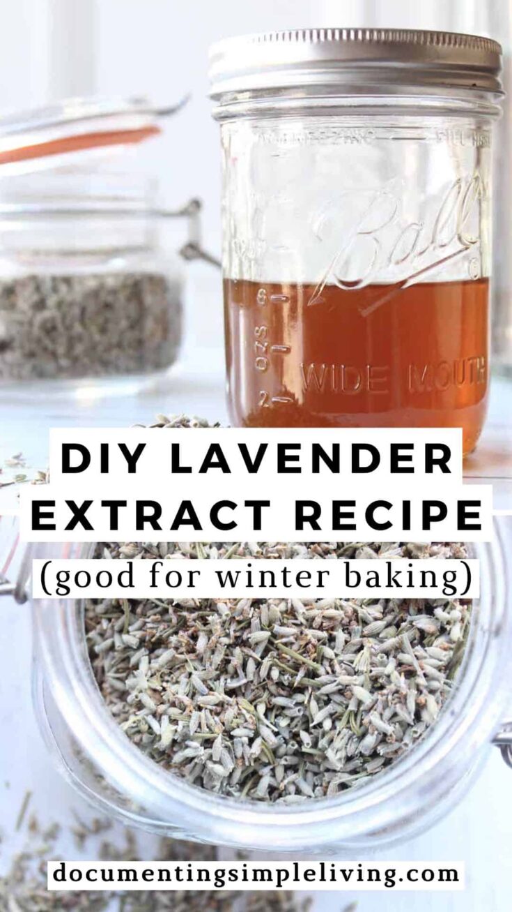 Easy DIY Lavender Extract Recipe (For Baking and Drinks) - Documenting ...