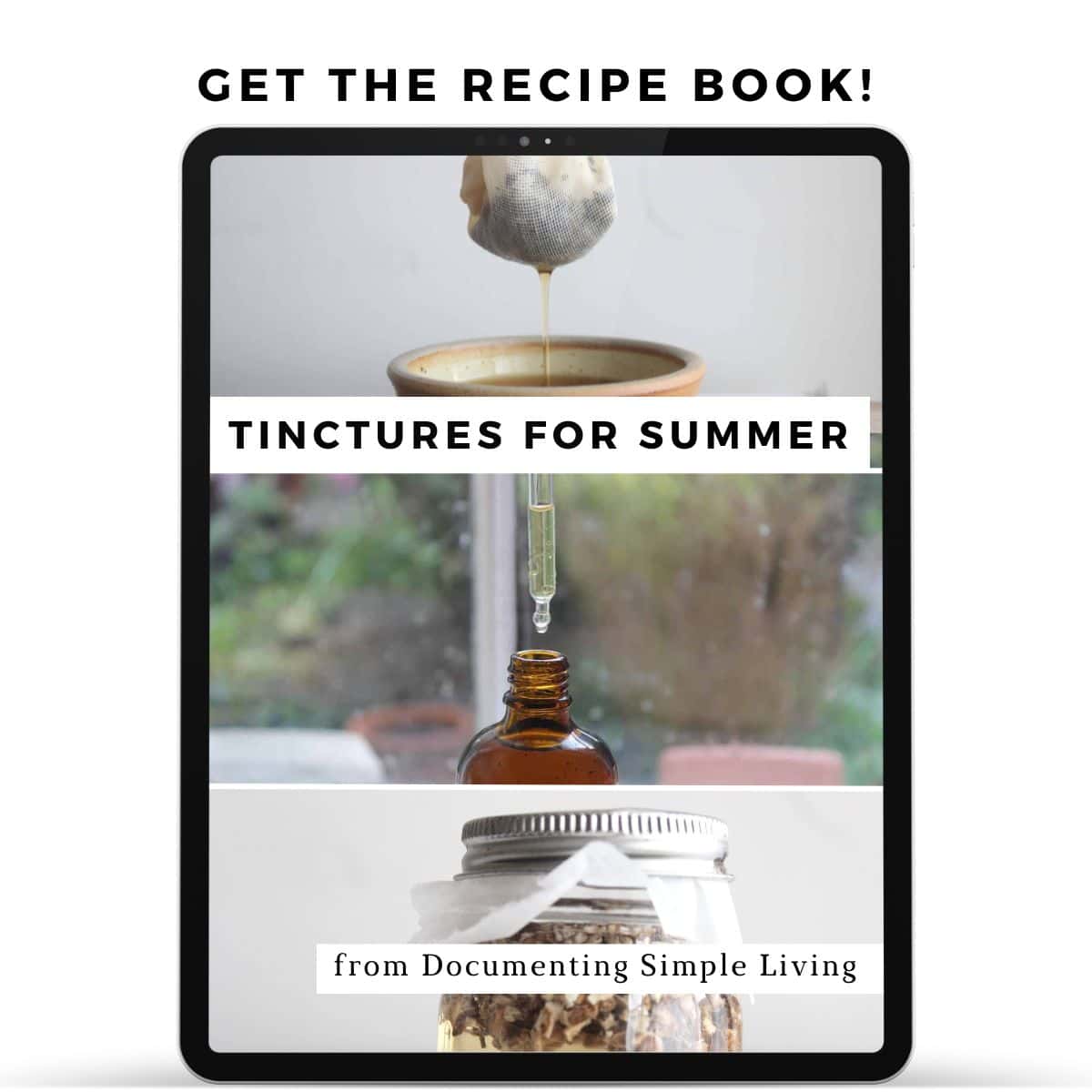 How To Make Dandelion Tincture (Best Recipe) - Documenting Simple Living