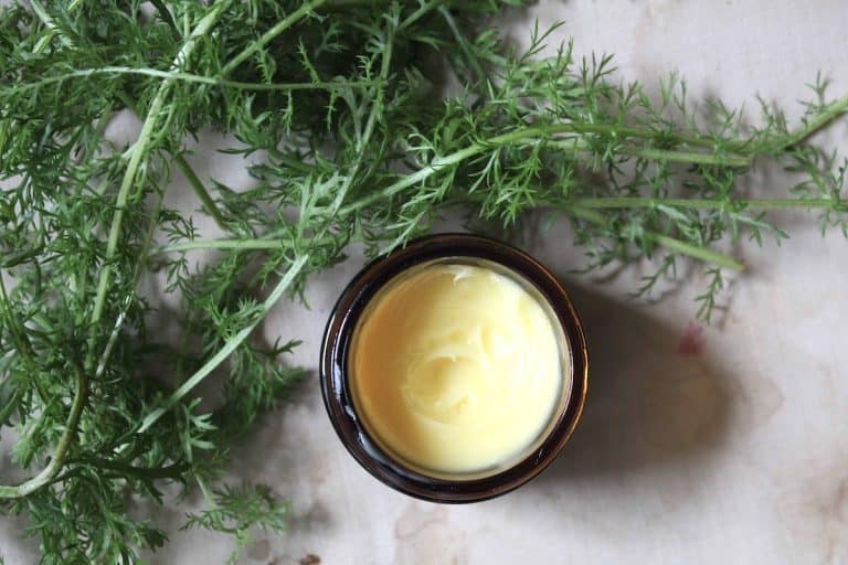 How To Make Healing Yarrow Salve (Easy DIY Recipe) - Documenting Simple ...
