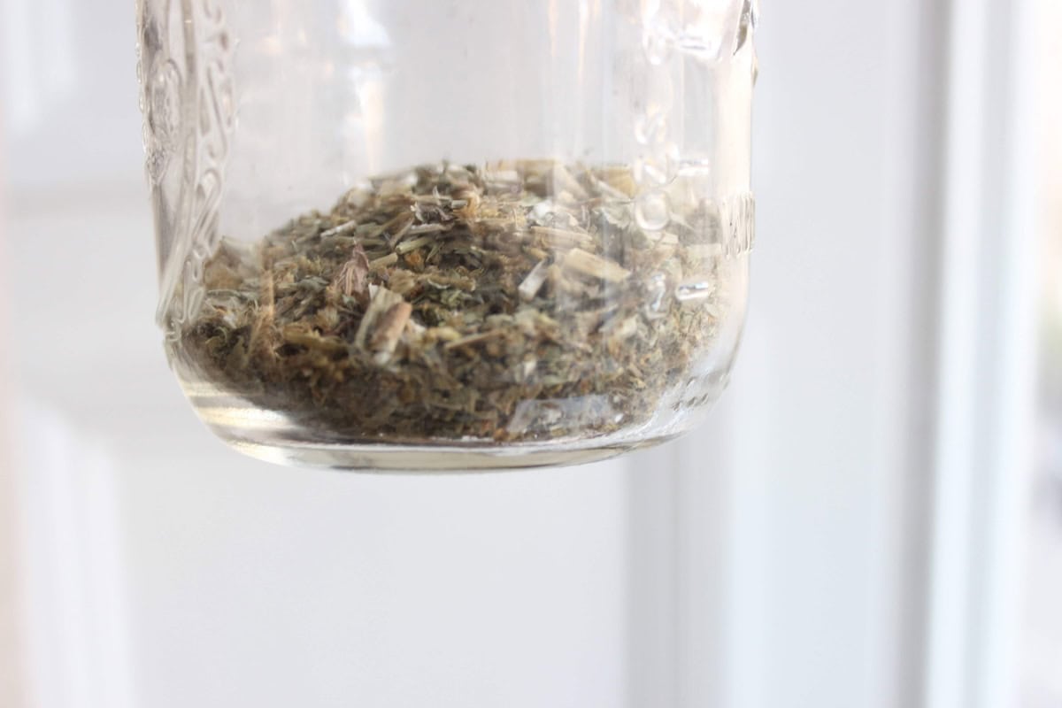 How To Make Feverfew Tincture (For Migraines and More) - Documenting ...