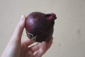 The Easiest Homemade Onion Infused Olive Oil - Documenting Simple Living