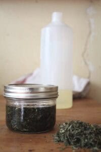 How To Make Mint Infused Oil - Documenting Simple Living