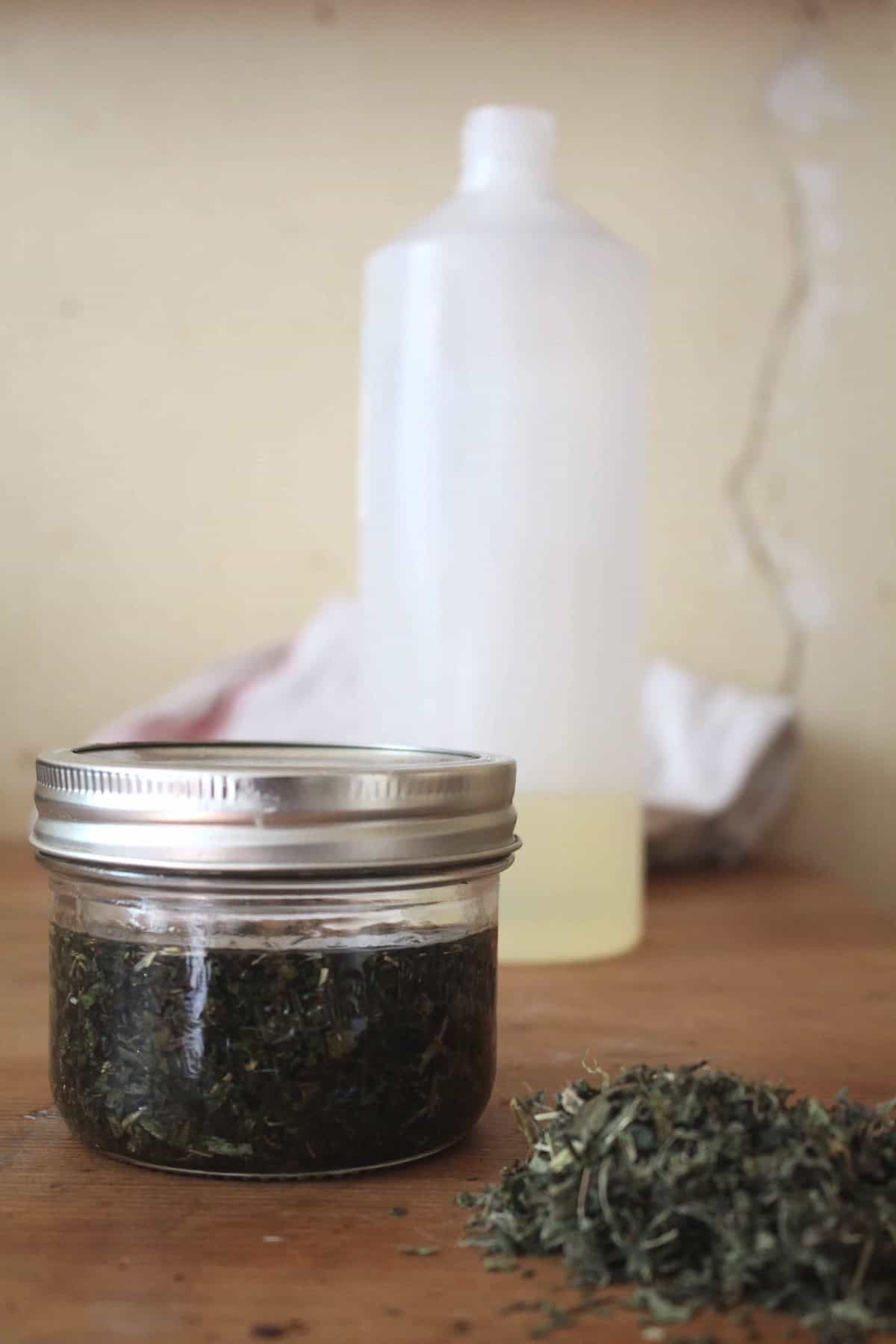 How To Make Mint Infused Oil - Documenting Simple Living