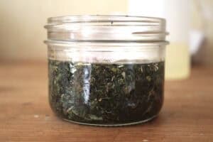 How To Make Mint Infused Oil - Documenting Simple Living