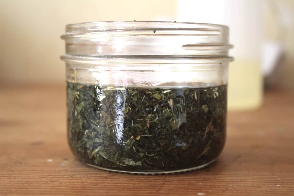 How To Make Mint Infused Oil - Documenting Simple Living