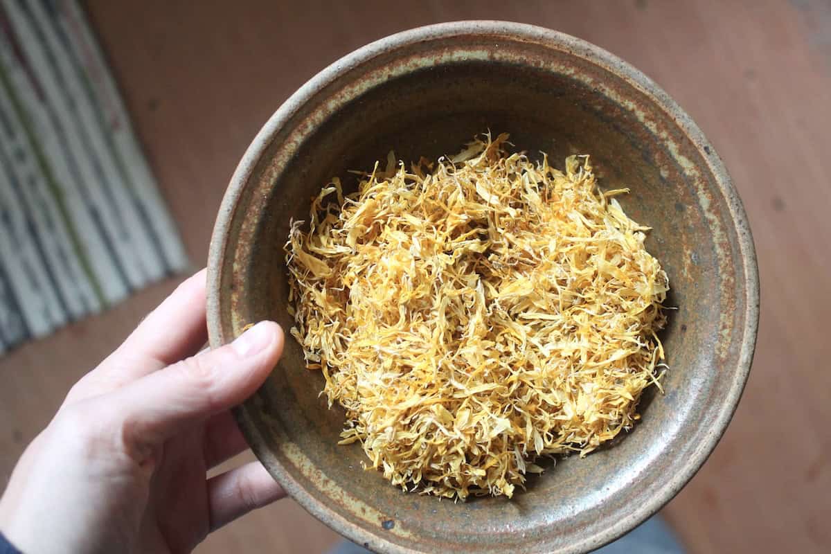 How To Make Calendula Oil At Home (And Three Ways To Use It ...