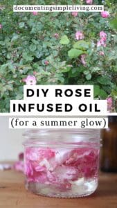 How To Make DIY Rose Infused Oil - Documenting Simple Living