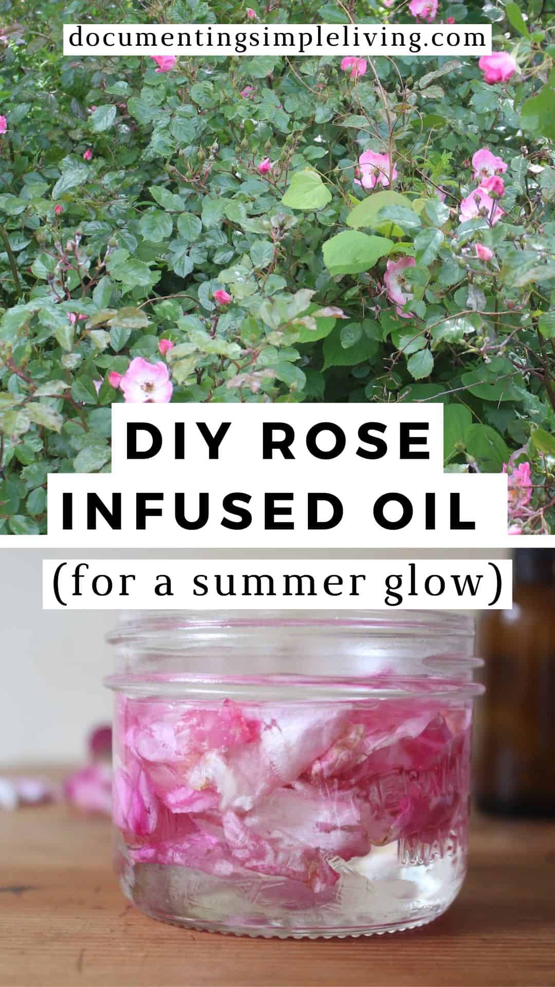 How To Make DIY Rose Infused Oil - Documenting Simple Living