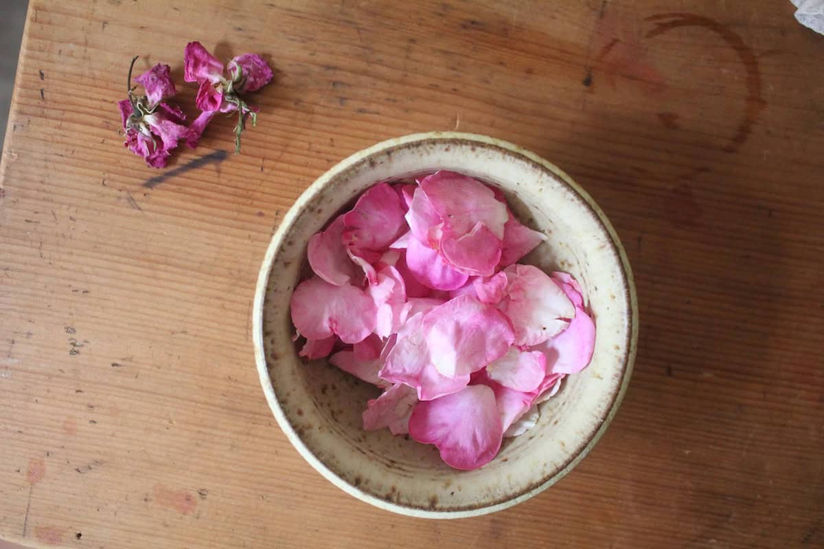 How To Make DIY Rose Infused Oil - Documenting Simple Living