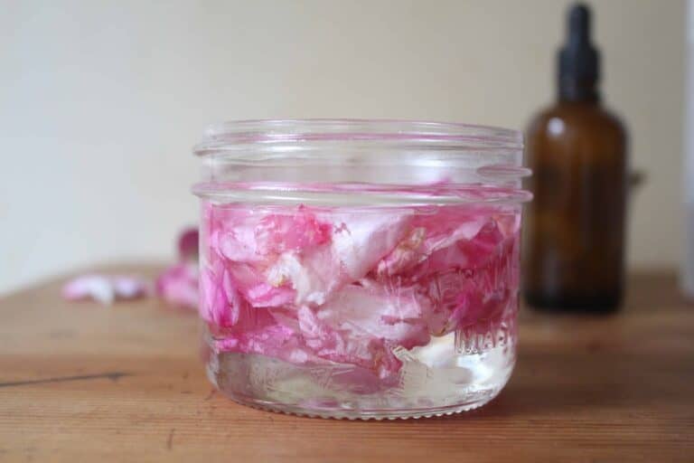 How To Make DIY Rose Infused Oil - Documenting Simple Living