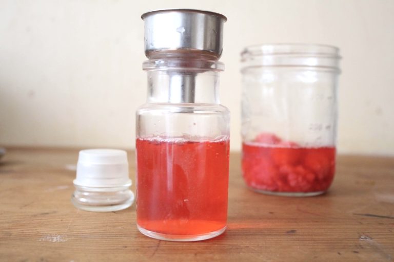 Simple Homemade Raspberry Extract Recipe - Documenting Simple Living