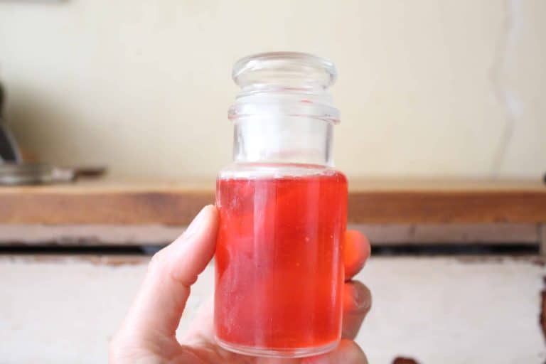 Simple Homemade Raspberry Extract Recipe - Documenting Simple Living