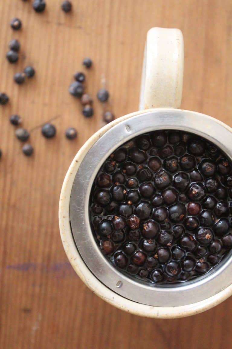 How To Make Juniper Berry Tea - Documenting Simple Living