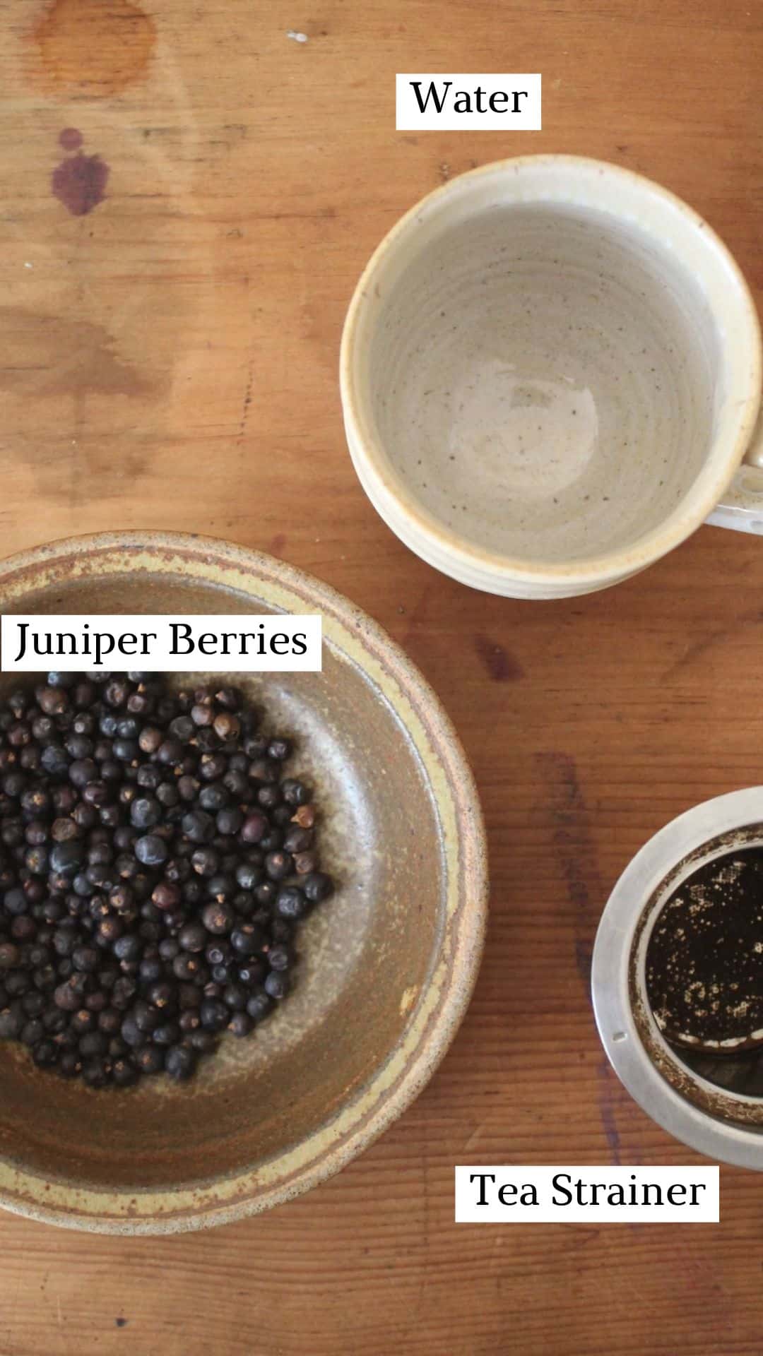 How To Make Juniper Berry Tea - Documenting Simple Living